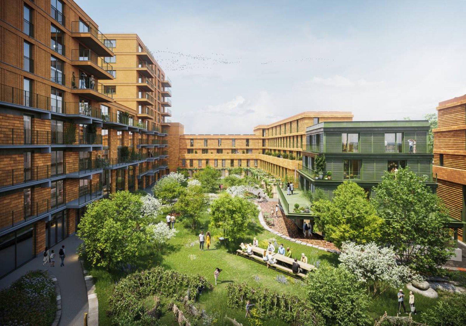 MVGM - Complex Koer te Rotterdam - Rotterdam